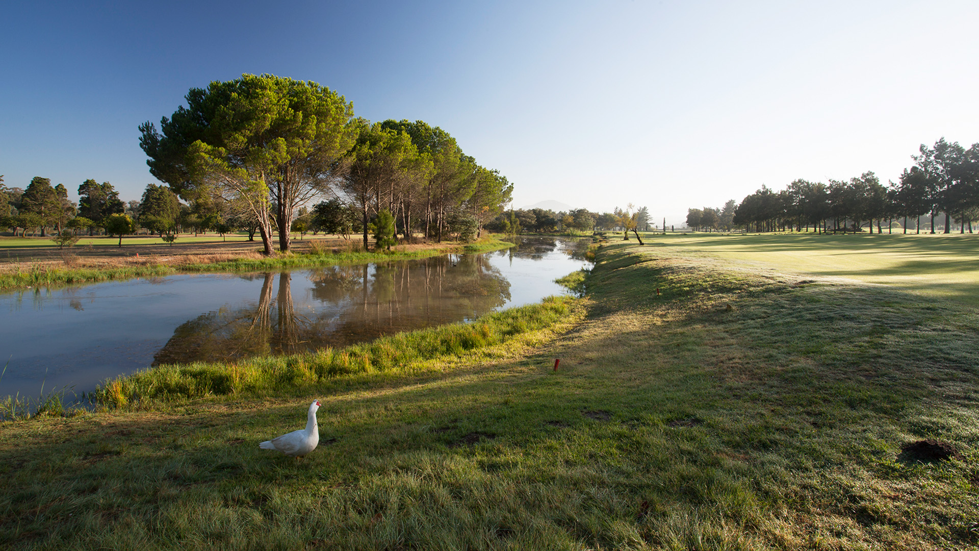 Devonvale Golf Club | Sunbirdie